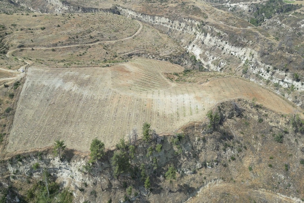 30,900 sqm Fully Equipped, Ready-to-Operate Olive Farm / Agriculture ...