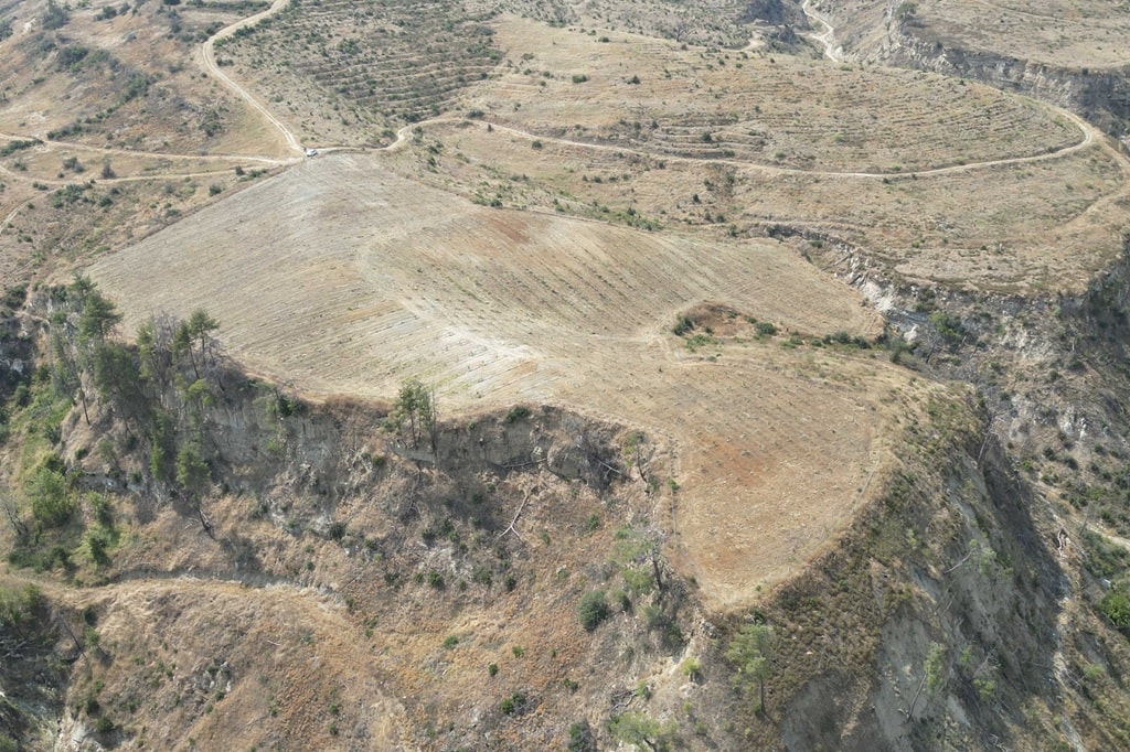 30,900 sqm Fully Equipped, Ready-to-Operate Olive Farm / Agriculture ...
